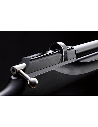 Plomb - Carabine PCP Snowpeak M25 - Haute performance et précision optimale